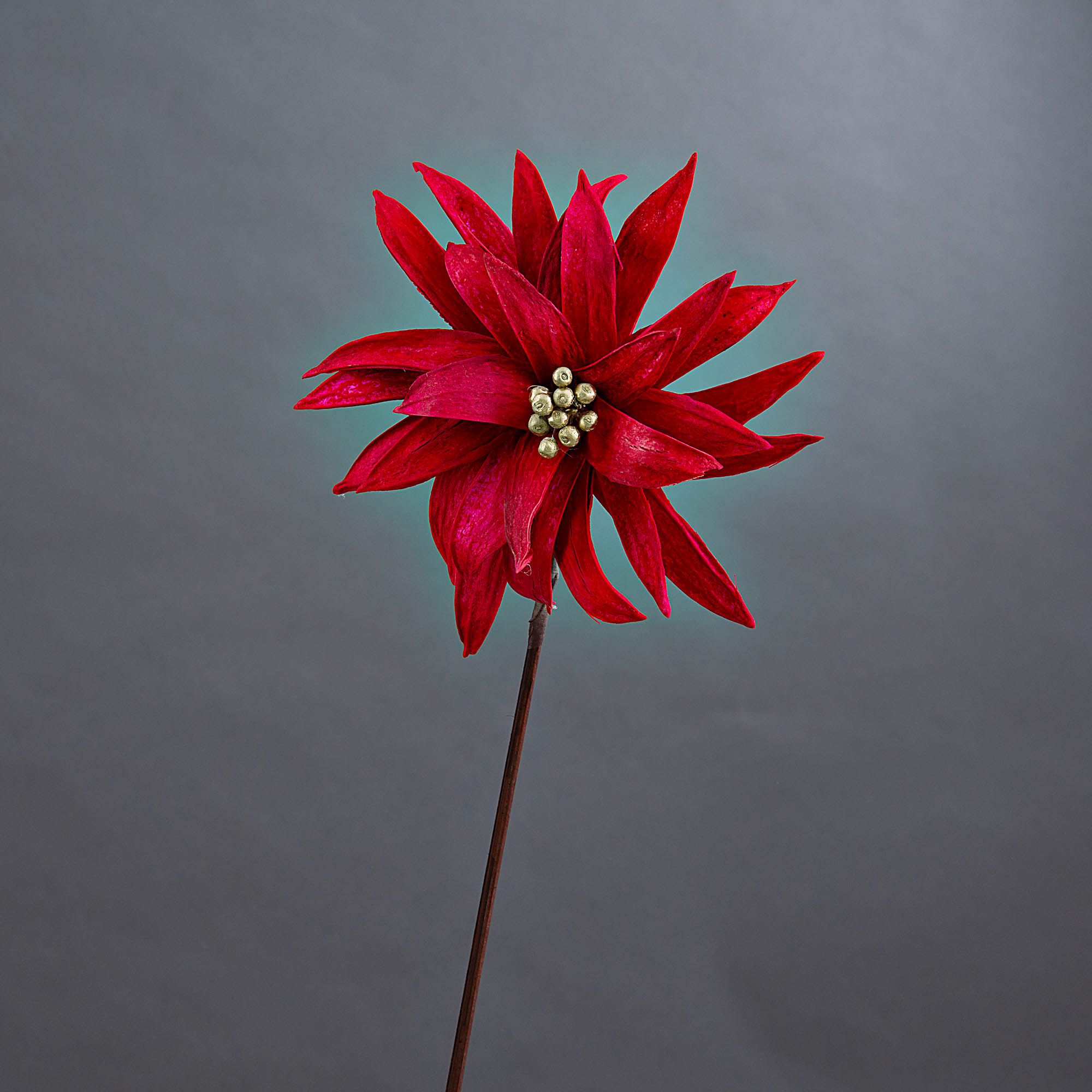 Flor Estrella de Panamá | Hecha a Mano Fibra Natural | Sukasa